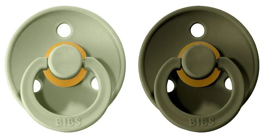 Bibs Dudlíky kaučuk 2 ks 6-18 měsíců Colour Coral/ruby 2