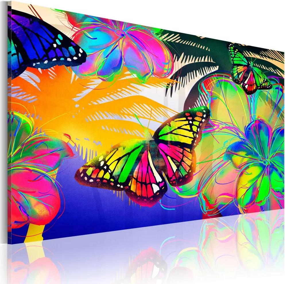 Obraz na plátně Bimago - Exotic butterflies 60x40 cm