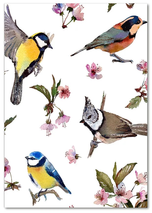 Wallmuralia Foto obraz akryl do obýváku Ptáci a květiny 70x100 cm