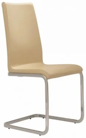 Antares Konferenční židle 1920/S ALEX GALERIE - Čalounění Antares EKO KŮŽE (SK, BO) / SKAI, BLOOM