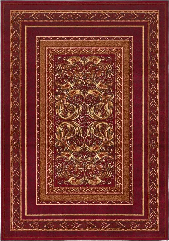 Kusový koberec Aralia bordo 170 x 240 cm