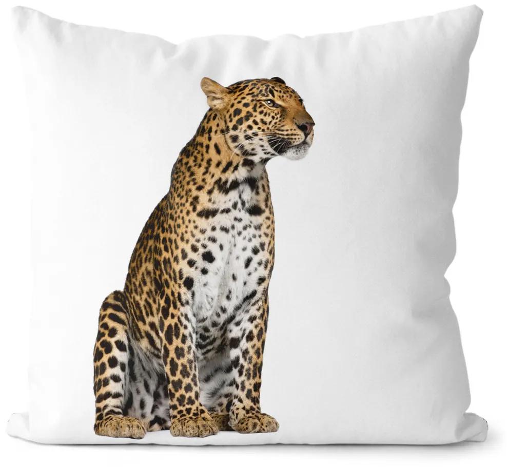 IMPAR Polštář Sedící gepard 40x40 cm (Velikost: 40 x 40 cm)