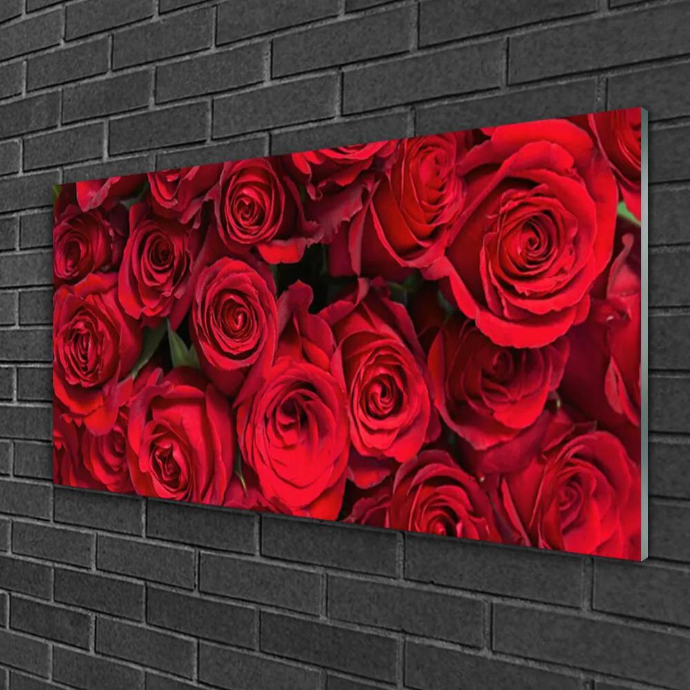 Obraz na skle Červené Růže Květiny Příroda 125x50 cm