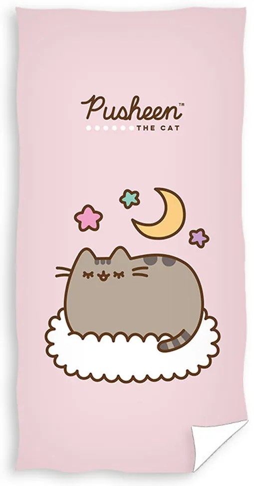 Dětská osuška kočička Pusheen Daydream