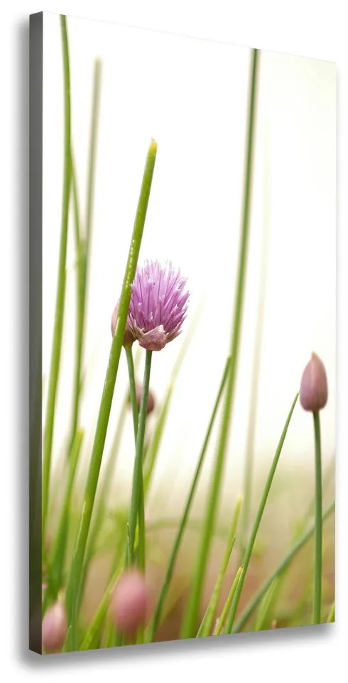 Wallmuralia Vertikální Foto obraz na plátně Květ pažitky 50x100