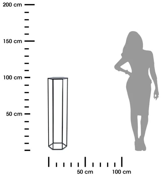 Stojan na květiny 100x24 cm černá