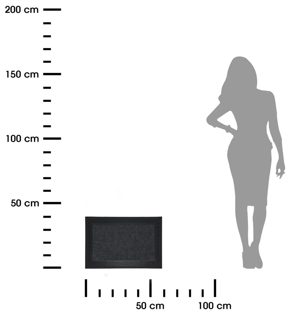 Venkovní rohožka Max Darkgrey, 60x40 cm