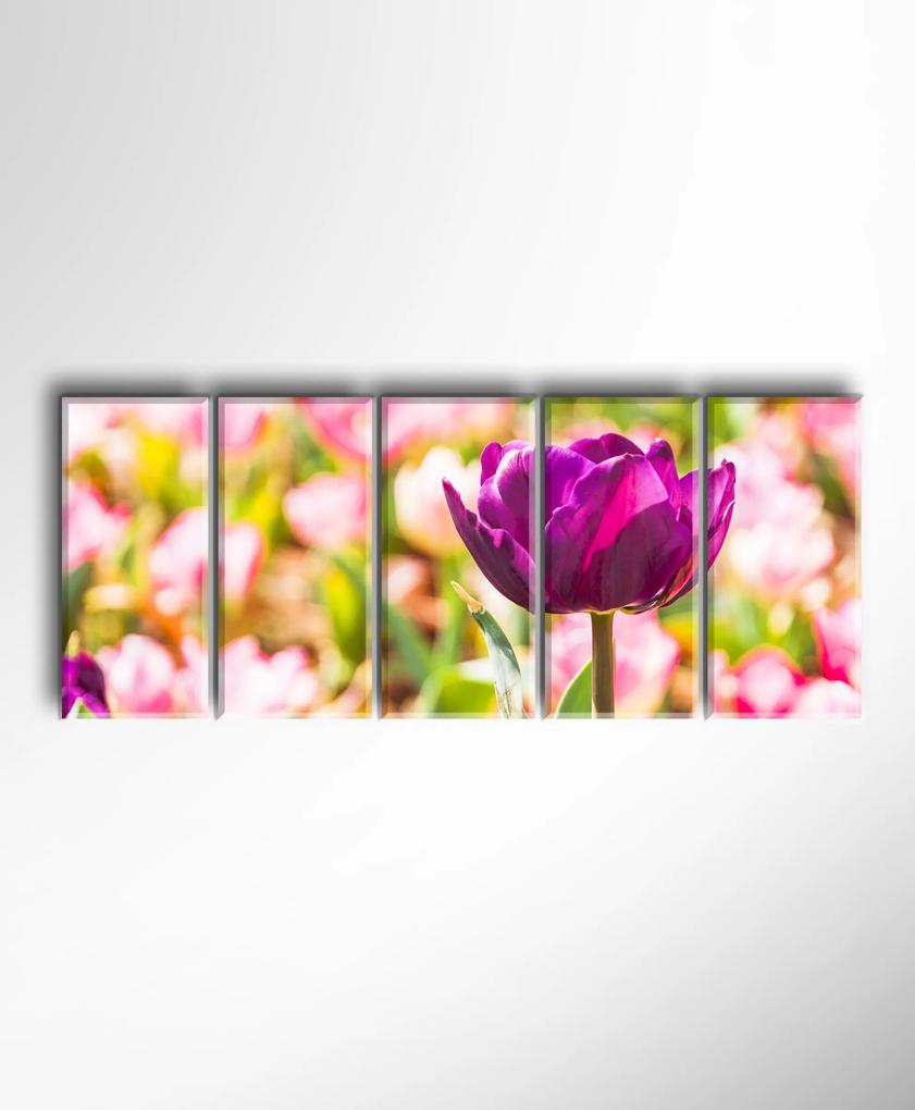 Malvis ® Obraz Pestrý tulipán ROZMĚR (šířka x výška): pětidílný obdélník 150x60 cm