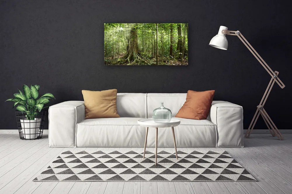 Obraz na plátně Les Příroda Džungle 125x50 cm