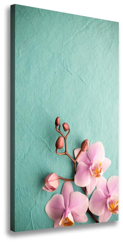 Wallmuralia Foto obraz na plátně Růžová orchidej 70x140 cm