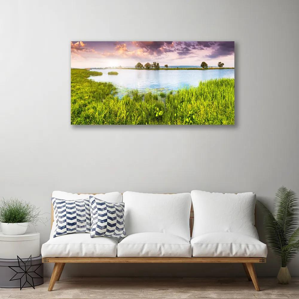 Obraz na plátně Tráva Jezero Příroda 125x50 cm