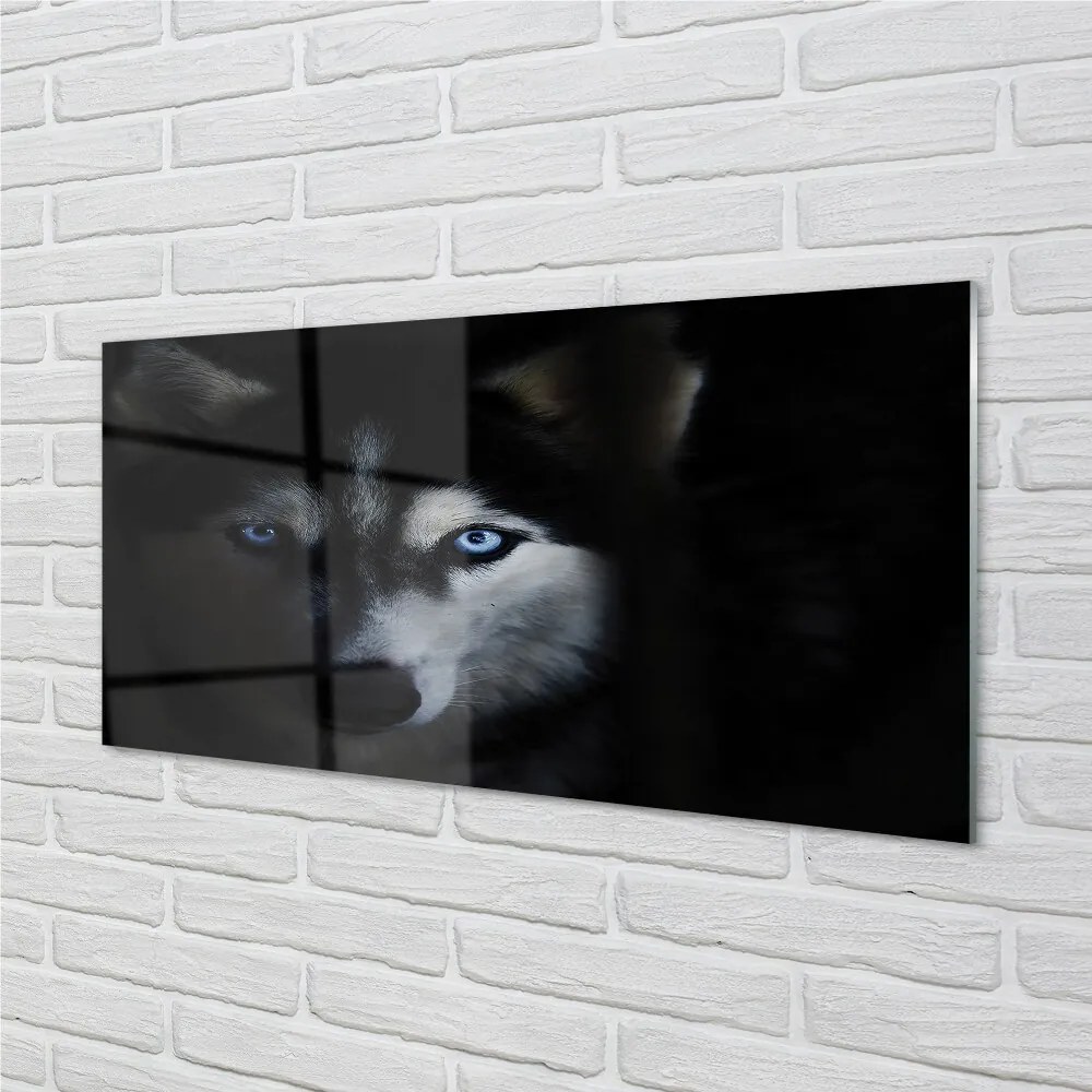 Obraz na skle wolf Eyes 125x50 cm