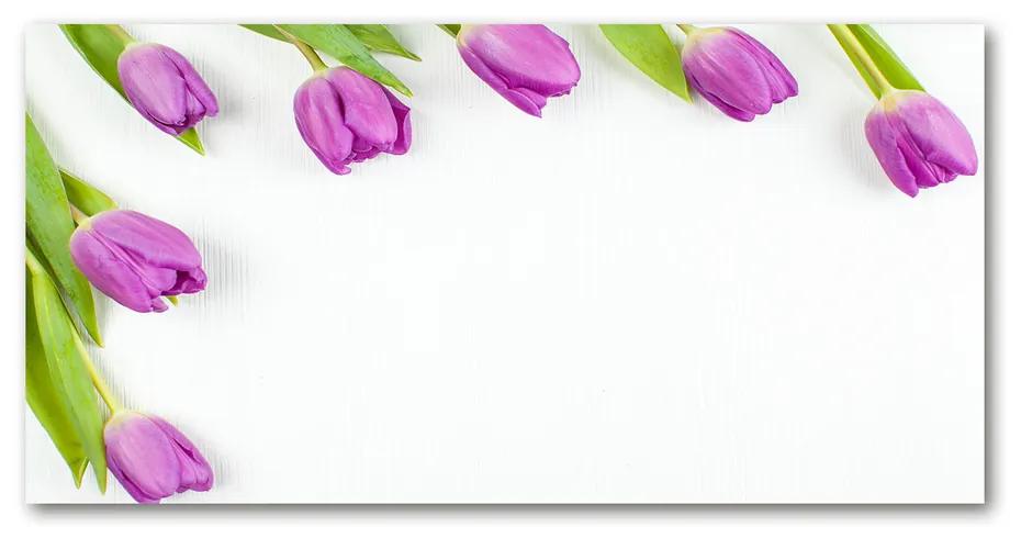Wallmuralia Moderní skleněný obraz z fotografie Fialové tulipány 100x50 cm