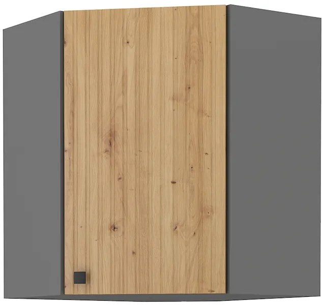Kuchyňská skříňka AVA 60x60 GN-72 1F (45°)