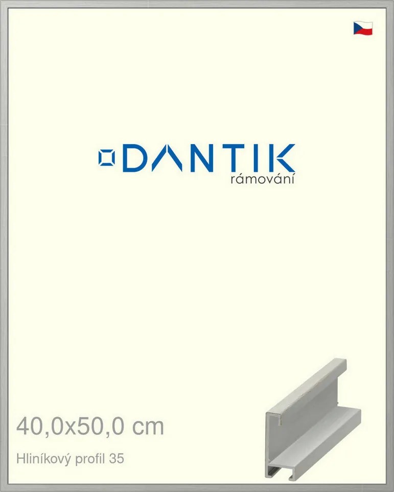 DANTIK rámeček 40x50 | ALU profil 6035 Dýha barevná šedá (Sklo Čiré)