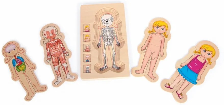 Dřevěná hračka Legler Anatomy Girl