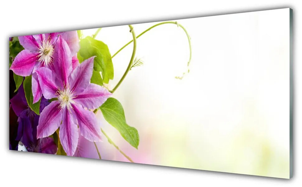 Plexisklo-obraz Květiny Příroda 125x50 cm