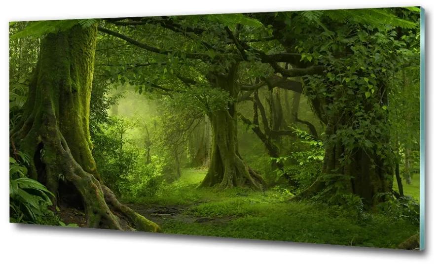 Wallmuralia Fotoobraz na skle Tropická džungle 100x50