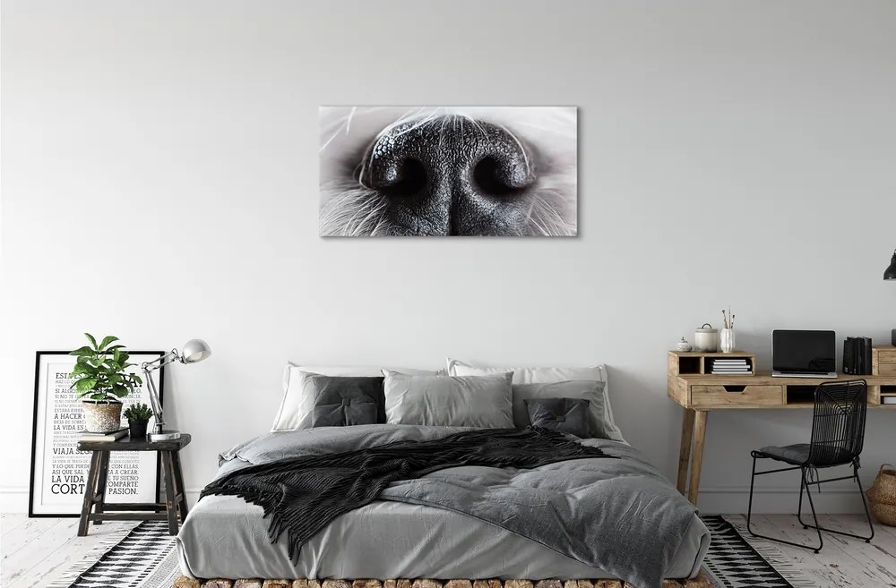 Obrazy na plátně psí čumák 125x50 cm