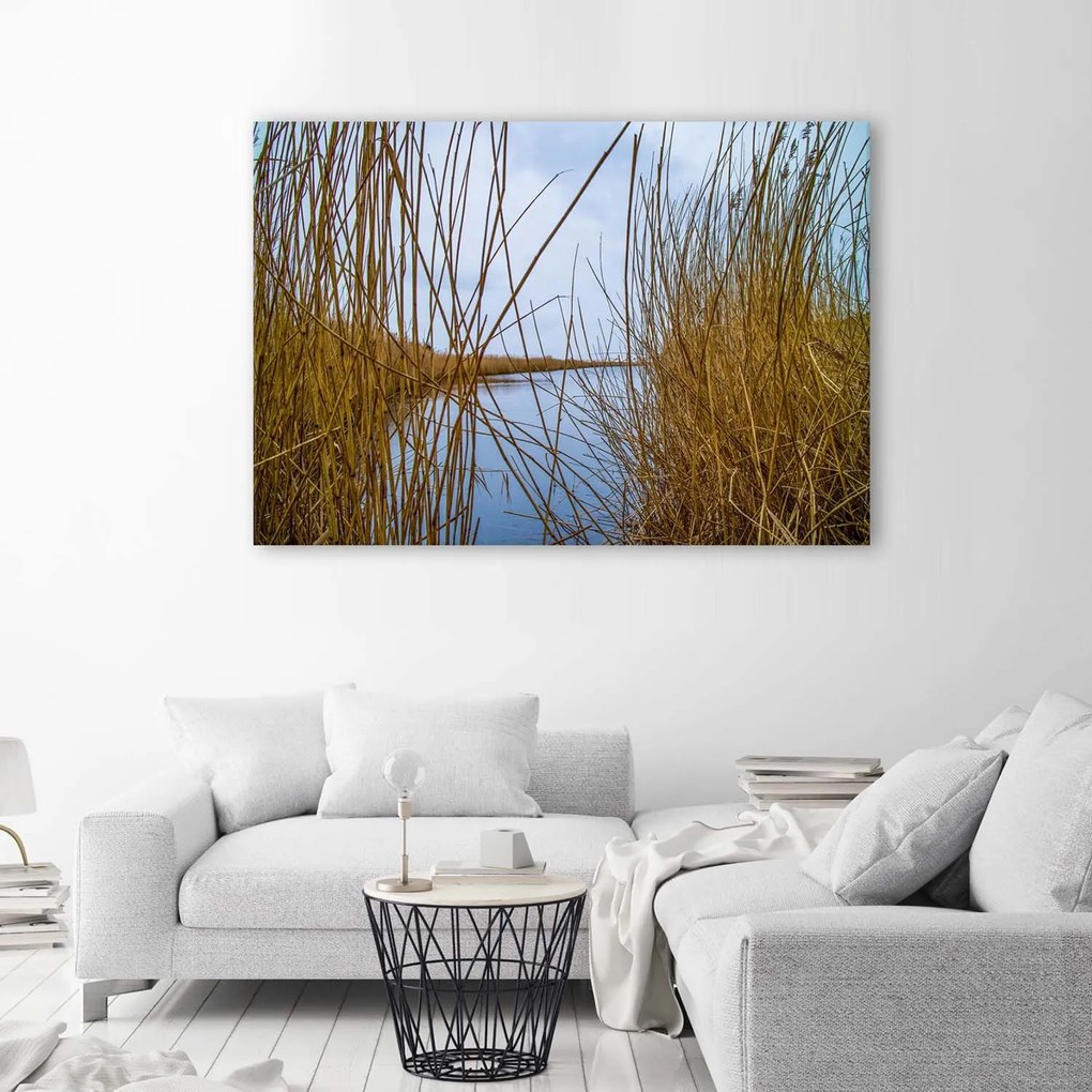 Gario Obraz na plátně Rákosí na jezeře Rozměry: 60 x 40 cm