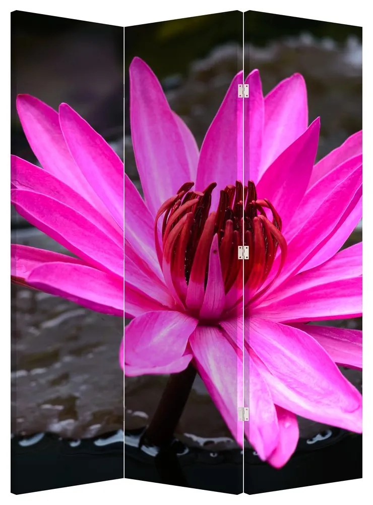 Paraván - Růžový květ (126x170 cm)