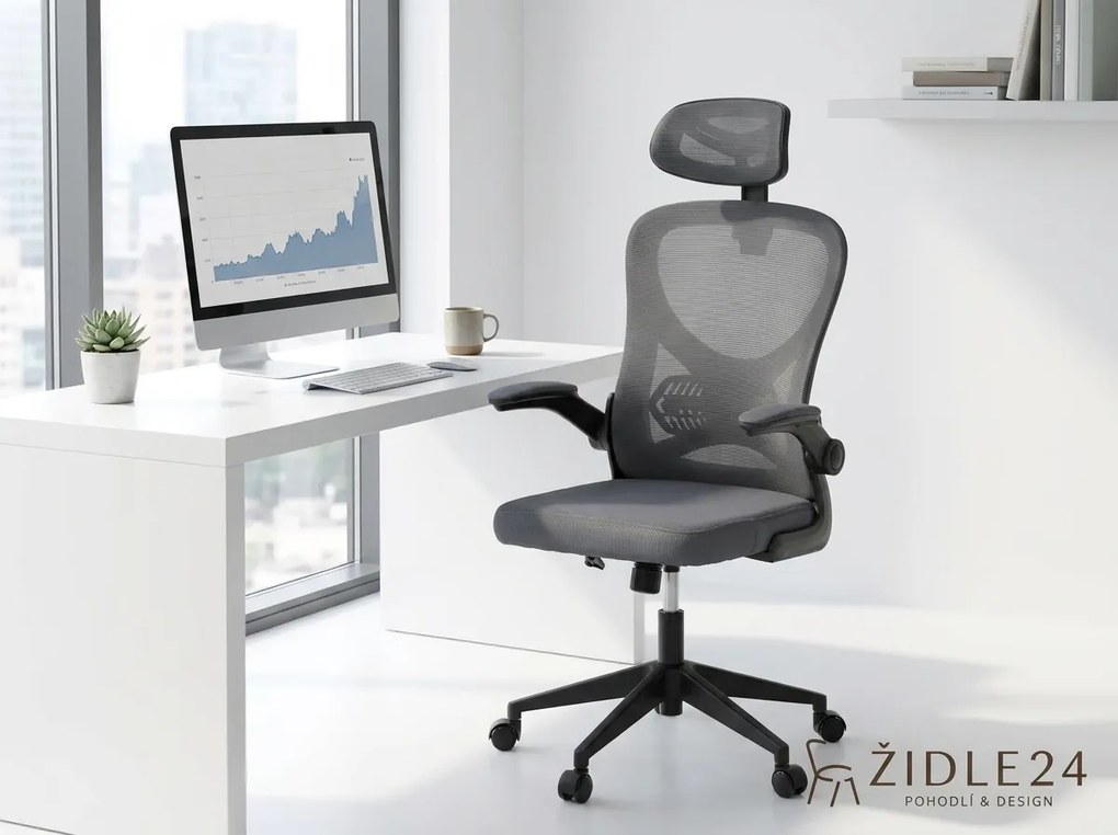 Ergonomická kancelářská židle ALEXANDRE - šedá síťovina