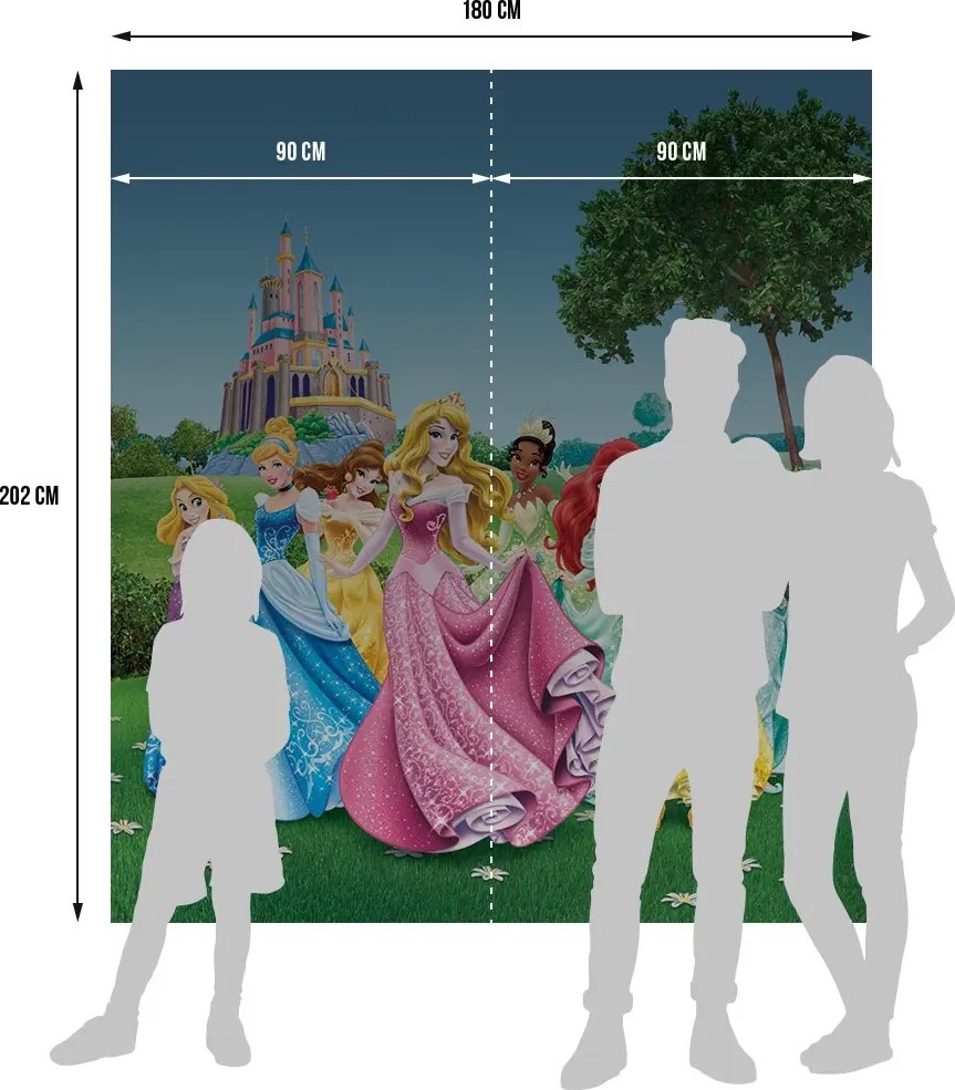 Dětská vliesová fototapeta na zed' Princezny, Disney | 180 x 202 cm | DFTDNXL 5112