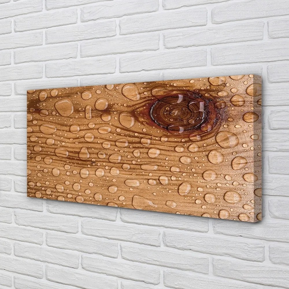 Obrazy na plátně Kapky vody dřeva 100x50 cm