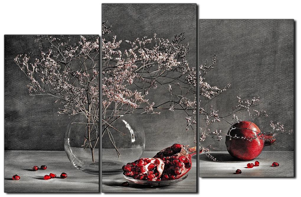 Obraz na plátně - Zátiší - větev a granátové jablko 1274QD (120x80 cm)