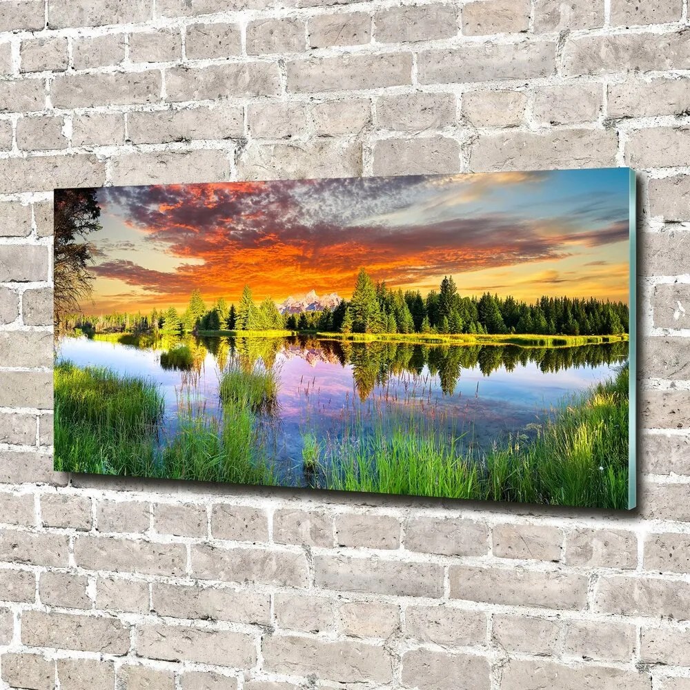 Wallmuralia Moderní skleněný obraz z fotografie Řeka v lese 140x70 cm