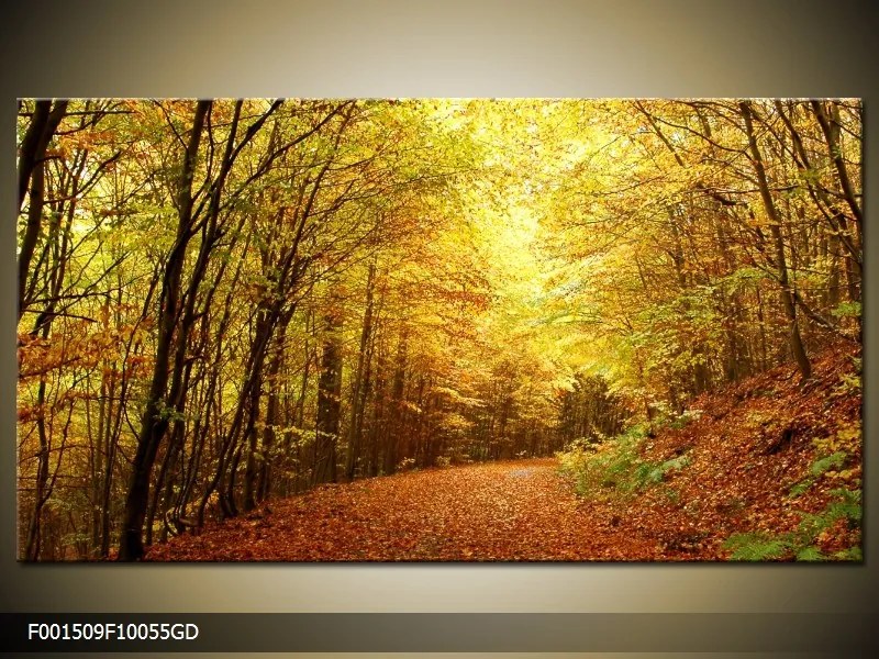 Obraz krásy podzimu (), 40 dalších rozměrů
