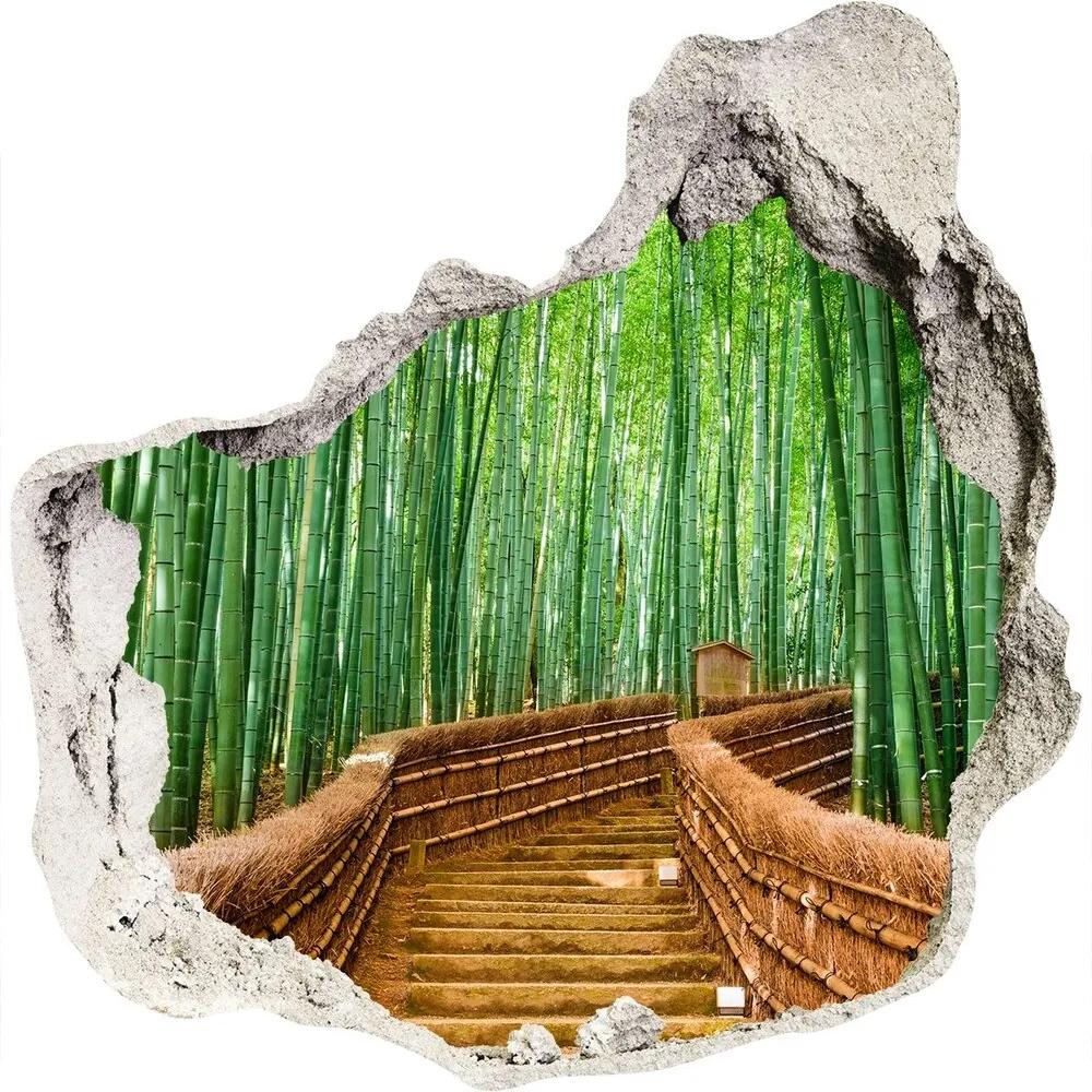 Wallmuralia Díra 3D fototapeta na stěnu nálepka Bambusový les 75x75 cm