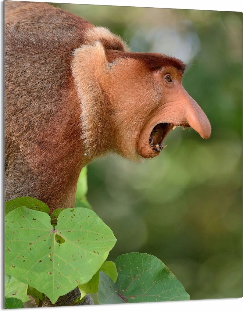 Skleněná Krájecí Deska 40x52 Nosítko do kuchyně