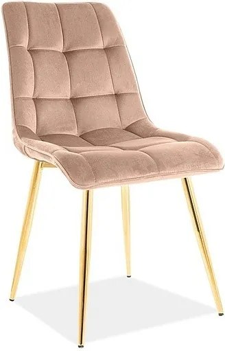 Čalouněná jídelní židle Chic Gold Velvet béžová