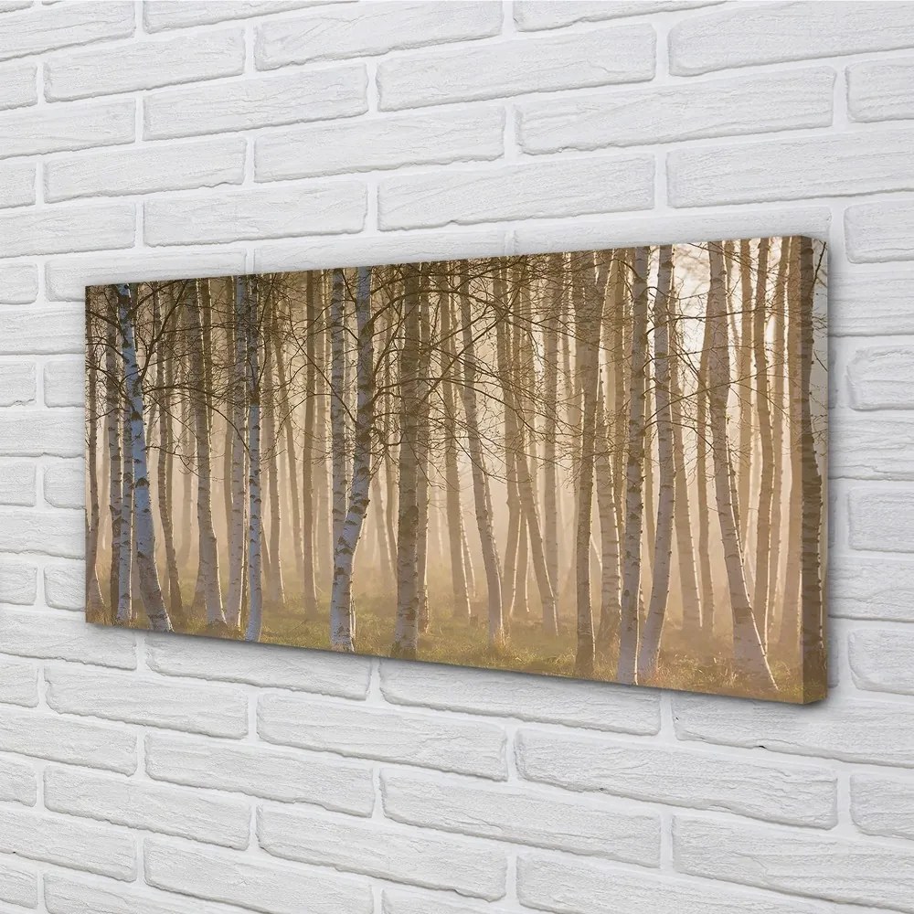 Obrazy na plátně Sunrise strom les 125x50 cm