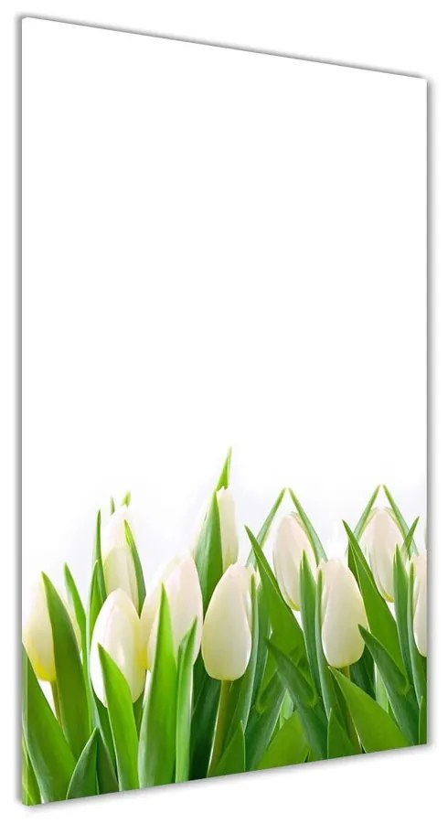 Wallmuralia Foto obraz fotografie na skle Bílé tulipány 60x120 cm