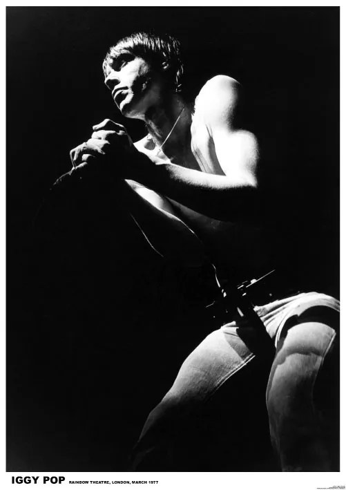 Plakát, Obraz - IGGY Pop - London 1977, (59.4 x 84 cm)