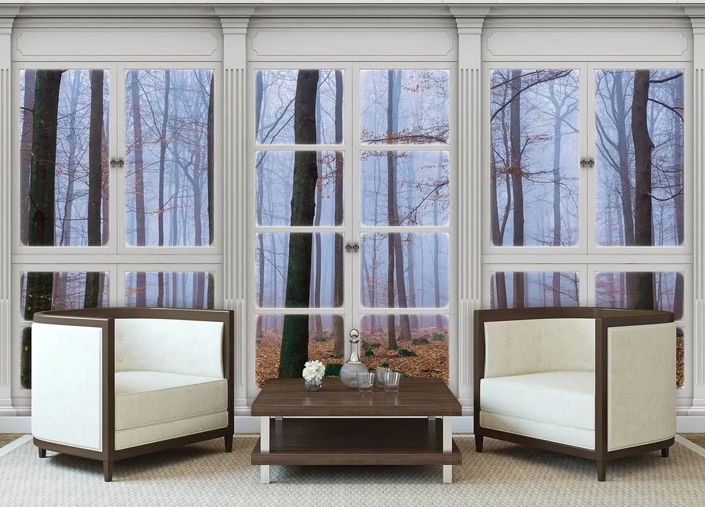 Fototapeta - Výhled z okna zahalený v mlze (254x184 cm)