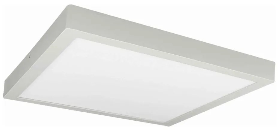 LED Stropní svítidlo FENIX LED/32W/230V 3800K 40 cm bílá