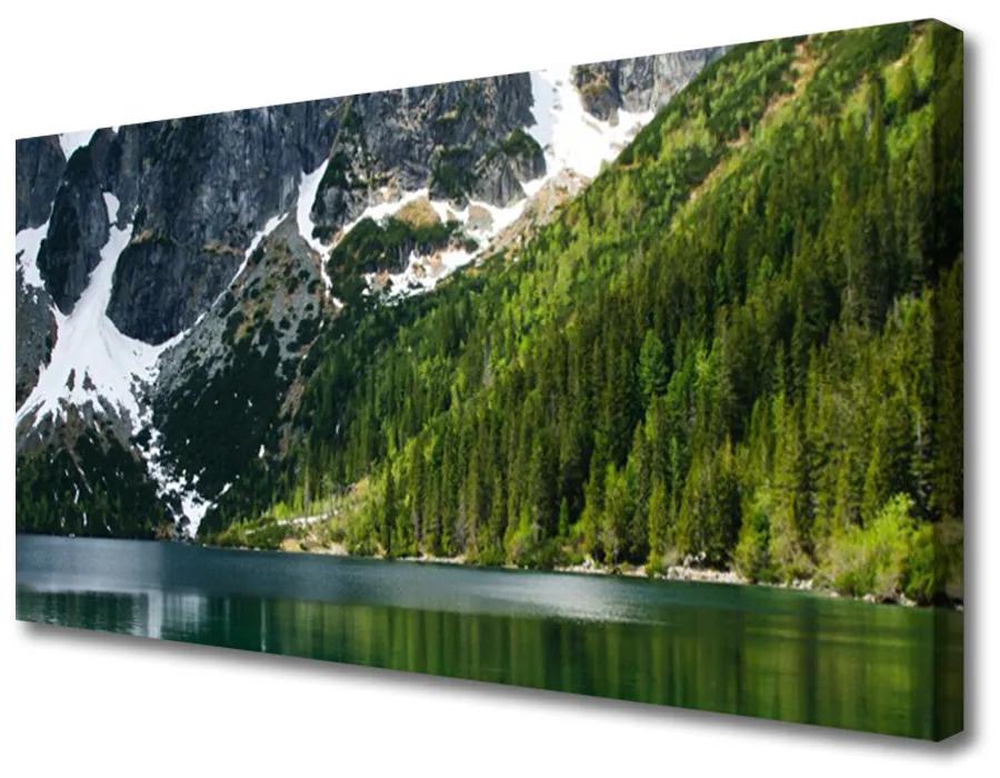 Obraz na plátně Jezero Les Hory Krajina 100x50 cm