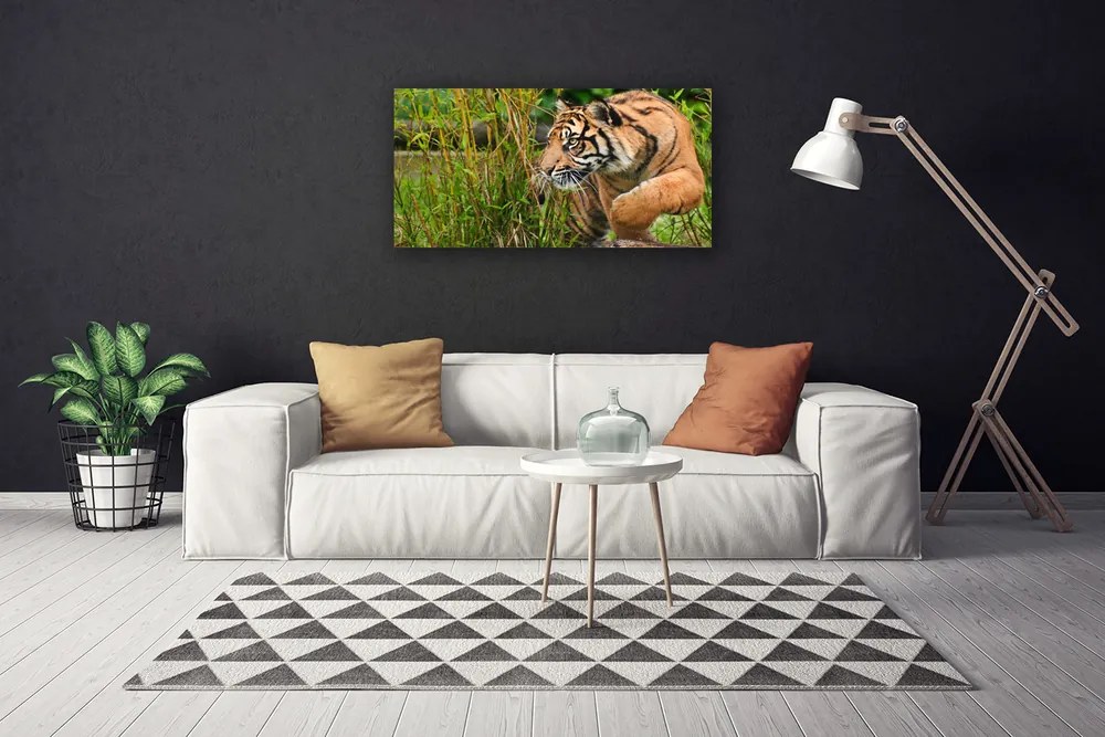 Obraz na plátně Tygr Zvířata 100x50 cm