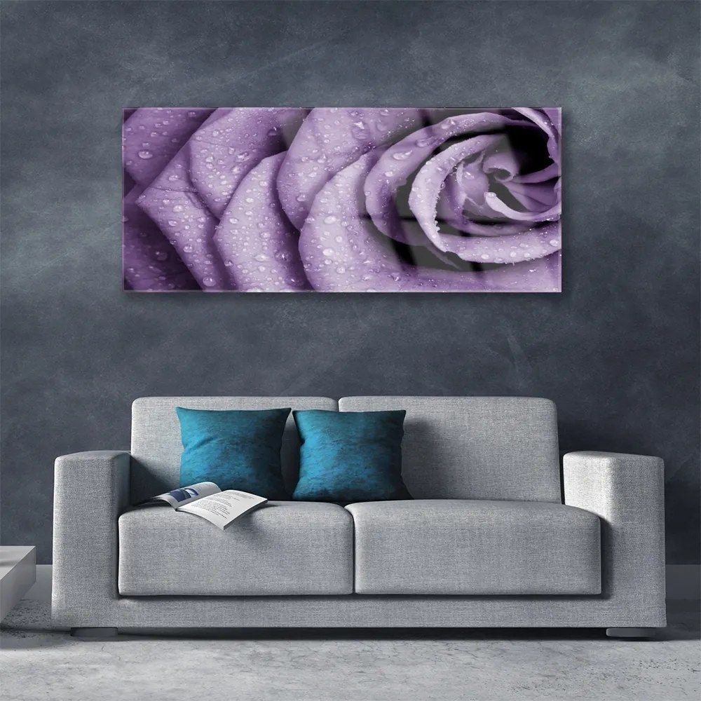 Plexisklo-obraz Růže Květ Rostlina 125x50 cm