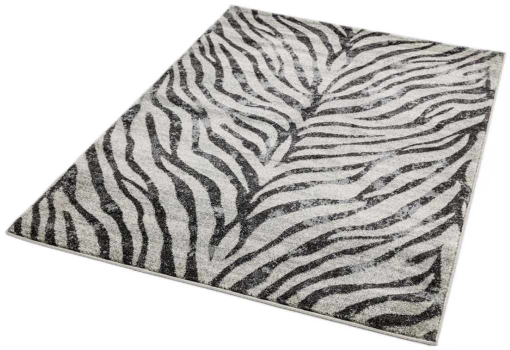 Šedý  koberec Dinamo Zebra Grey Rozměry: 160x230 cm