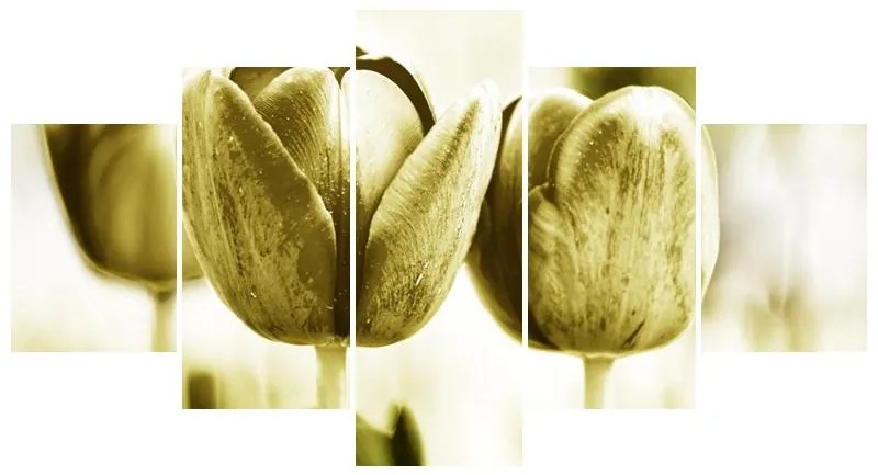 Obraz dvou nazelenalých tulipánů  (150x80 cm), 40 dalších rozměrů
