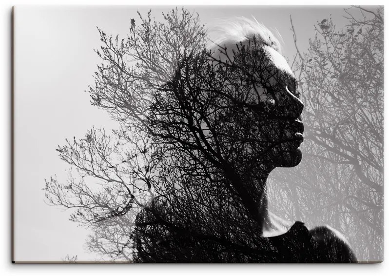 Obraz stín ženy Velikost (šířka x výška): 120x80 cm