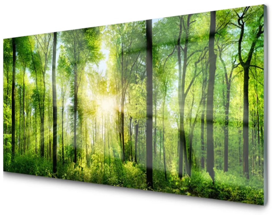 Akrylové obraz Skleněný Les Příroda