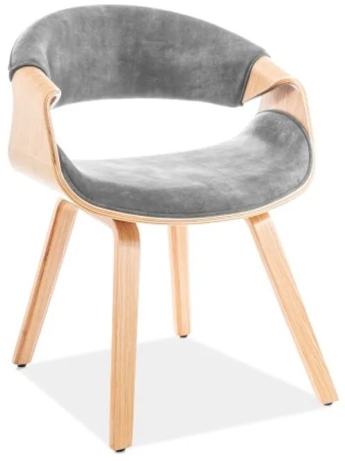 Jídelní židle DAKOTA Velvet, 62x79x42, šedá