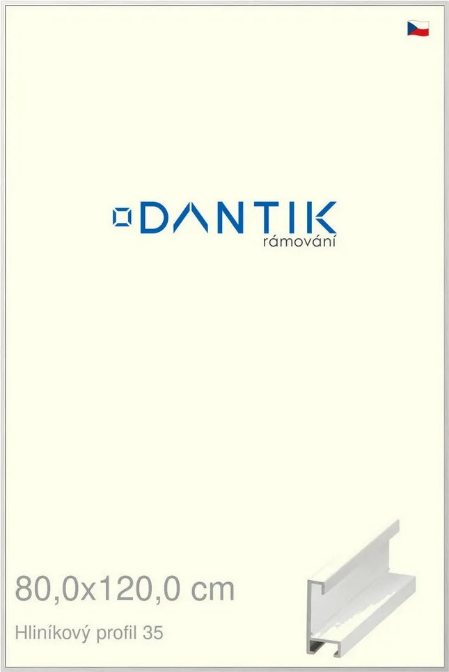 DANTIK rámeček 80x120 | ALU profil 6035 Dýha bílá (Plexi Čiré)