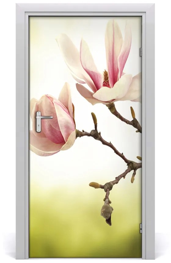Fototapeta samolepící květy magnolie 85x205 cm