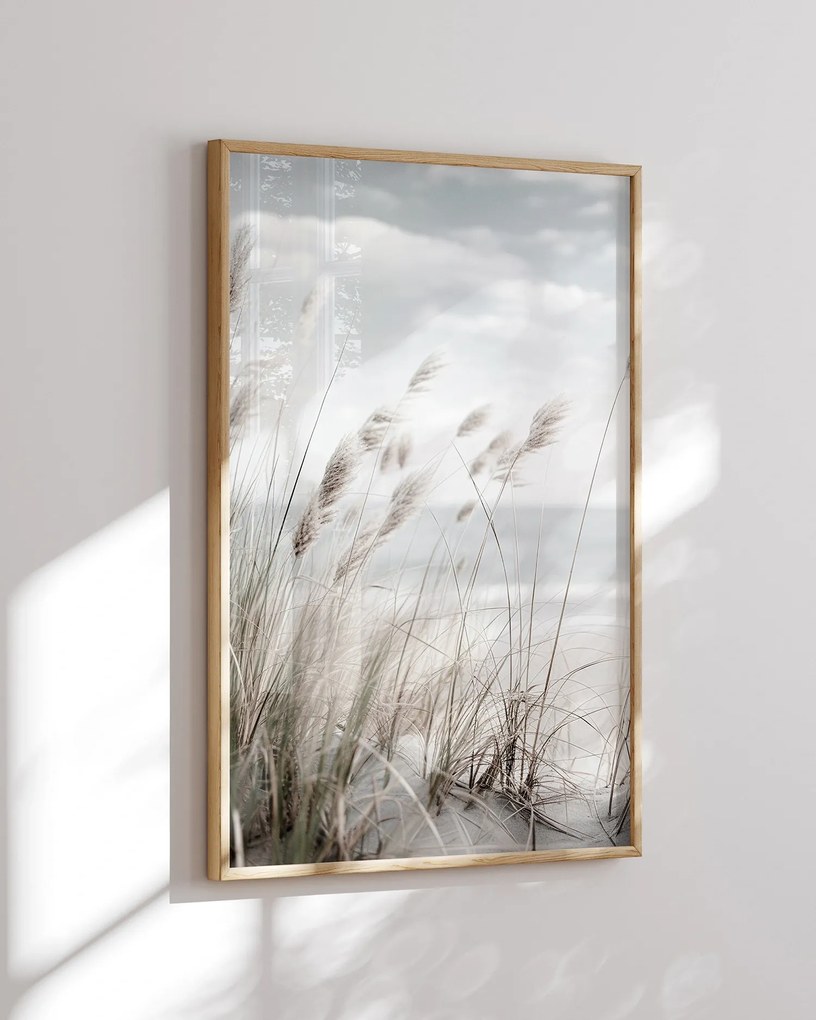 Oboustranný plakát Plážové Pampasy / Suché Květiny | 30 x 42 cm | DP351331